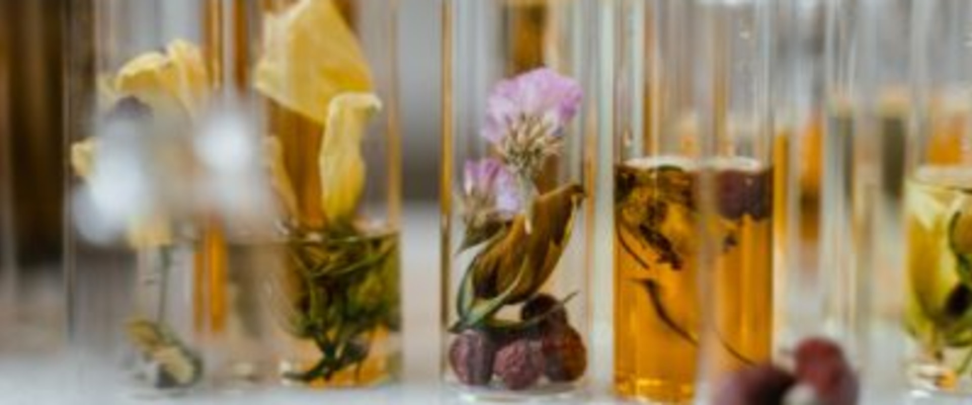 The Allure of Natural Fragrances: A Perfumer's Perspective